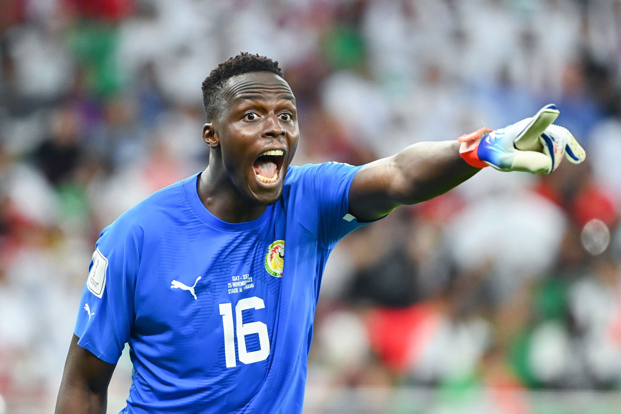 Sénégal : Edouard Mendy confirme son retour au premier plan - Ouest ...